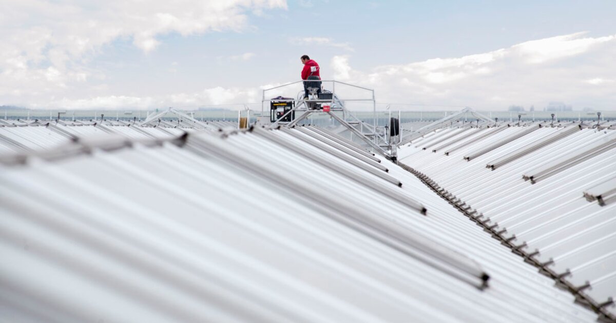 Shading with ReduSol: a reliable solution for cooling the greenhouse : ReduSystems